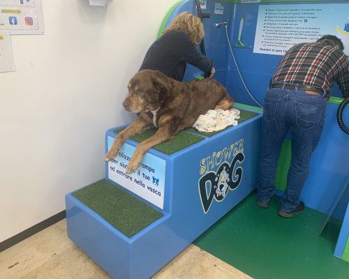 Servizio di Lavanderia Cani Genova - Coccole Lavaggio Cani Self Service